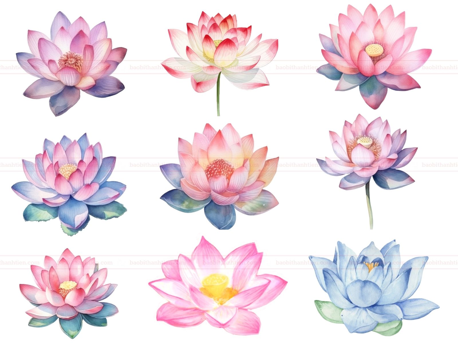 Tải Miễn Phí Background Hoa Sen Vector Đẹp Sắc Nét